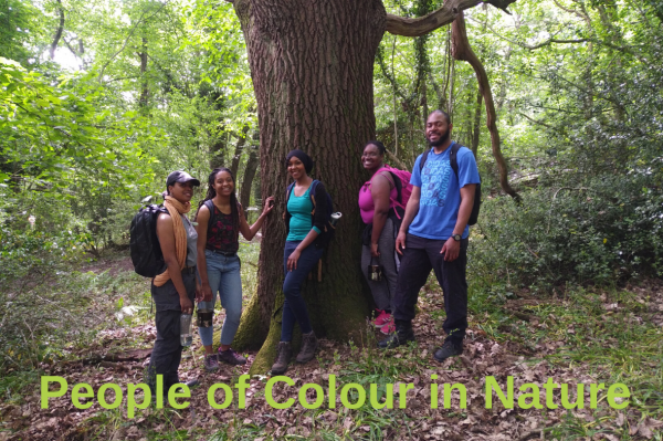 Wild in the City | Developing positive relationships in and with nature