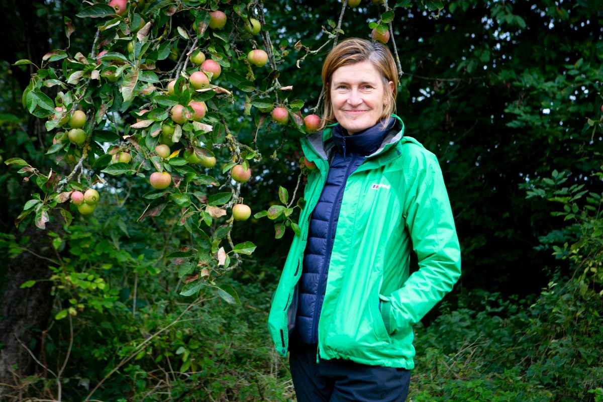 Team | Wild in the City